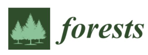 Article – Paper – Bao Huy * FREM